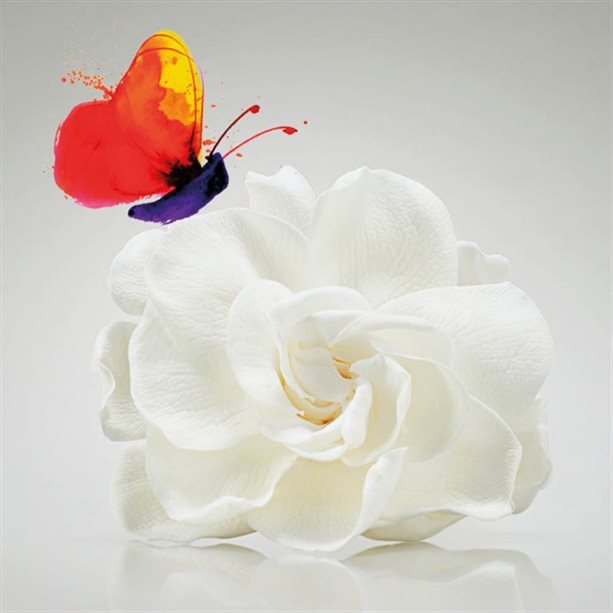 Eve Become Eau de Parfum | AVON IT